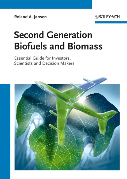 Second Generation Biofuels and Biomass. Essential Guide for Investors ...